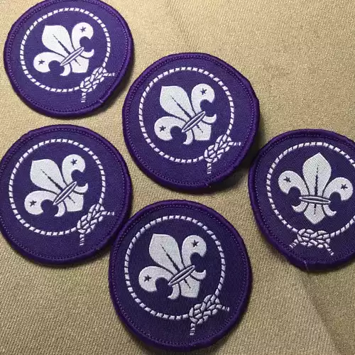 WOSM Organisasi Gerakan Kepanduan Dunia New Fresh 2022